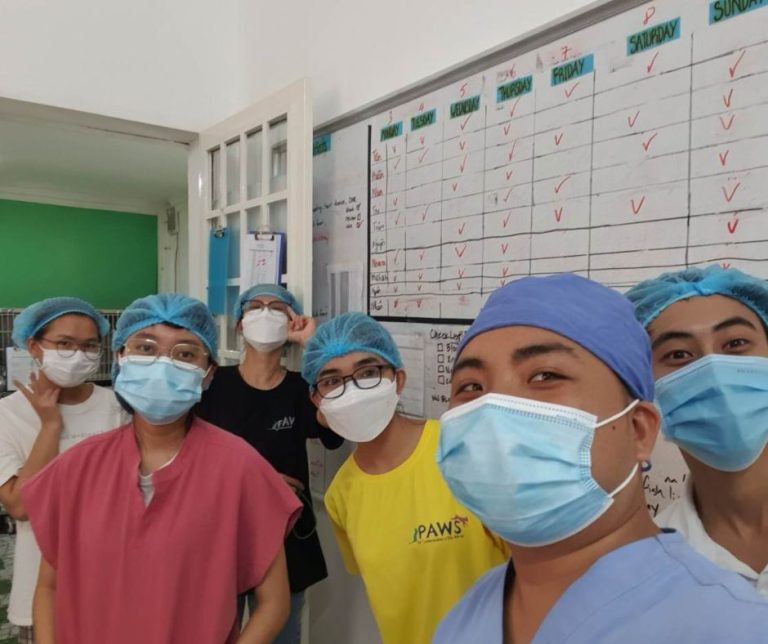 Veterinary Position | Paws Clinic International